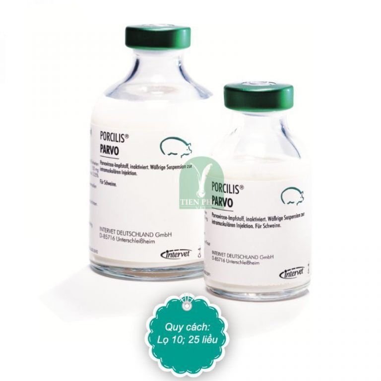 Vaccine sống đông khô PRIME PAC PRRS - Tiến Phát Vet