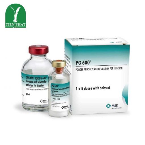 Hormone kích thích lên giống và rụng trứng trên heo PG 600® - Tiến Phát Vet