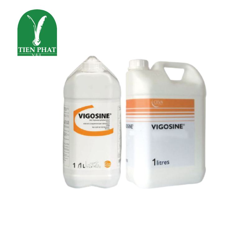 # Nơi bán VITAMINE, KHOÁNG, MEN TIÊU HOÁ - Tiến Phát Vet